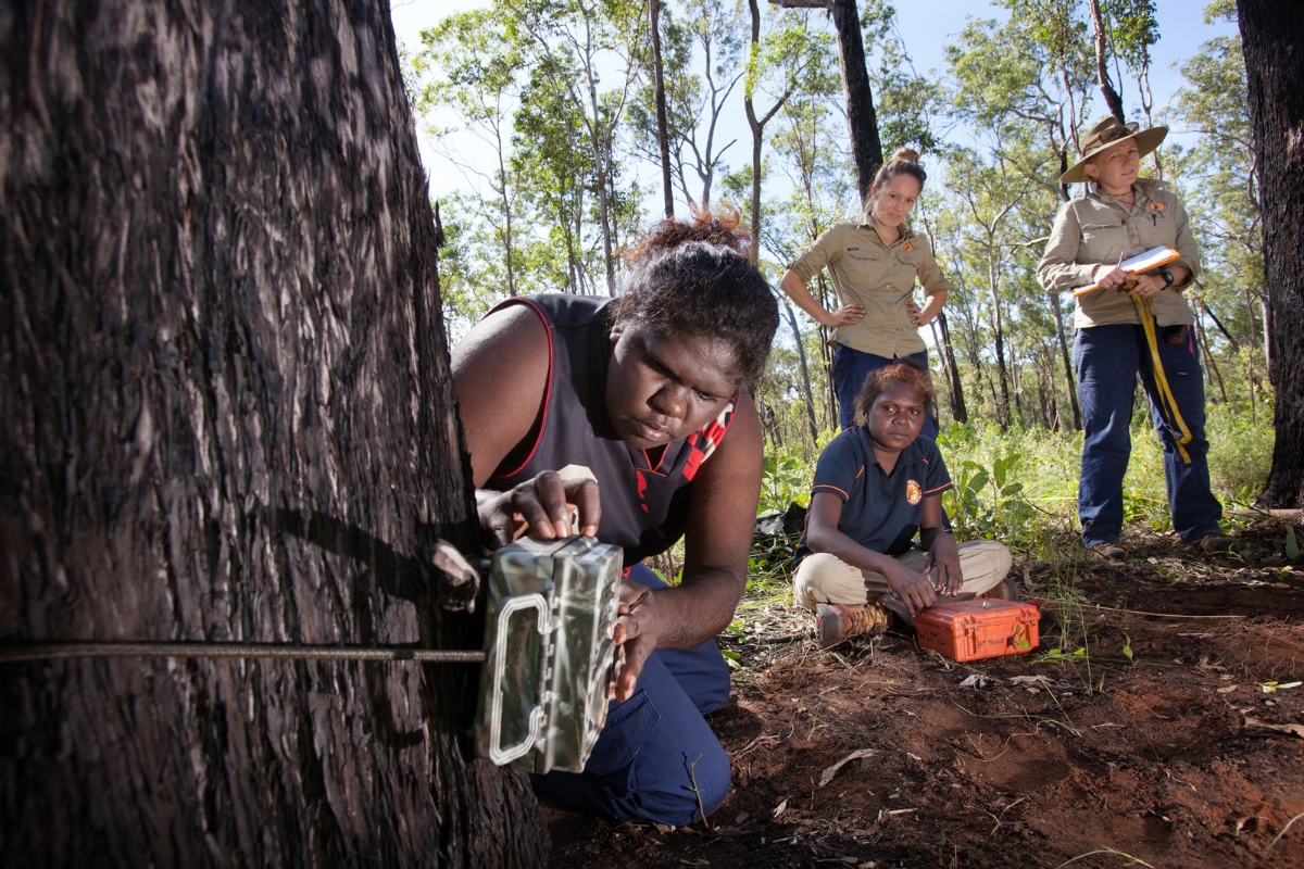 Aboriginal Fire Management | Fire Management Carbon Projects Australia ...