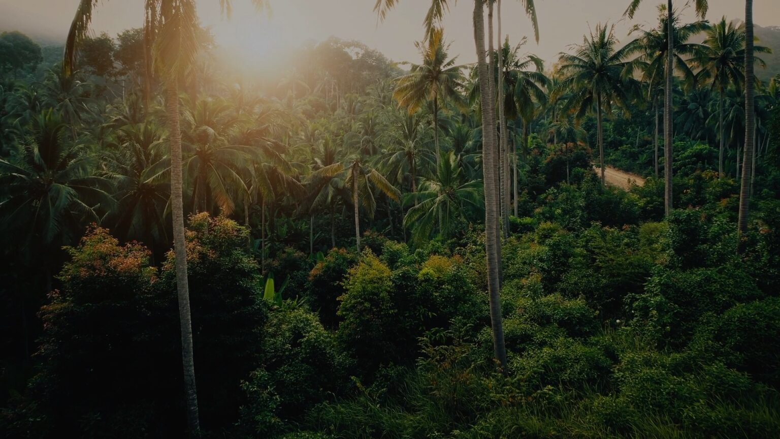 Resources - Tasman Environmental Markets (TEM)