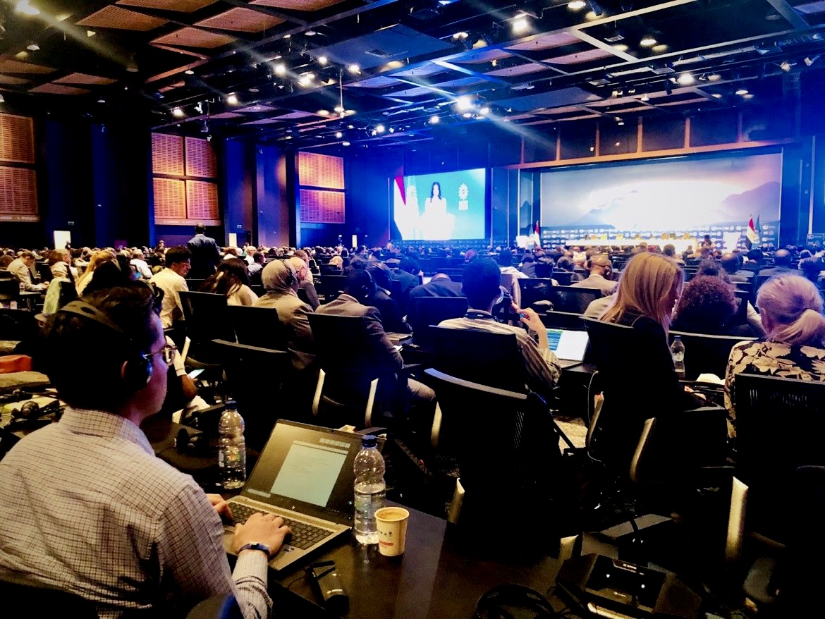 Is COP27 our one stop climate shop? - Tasman Environmental Markets