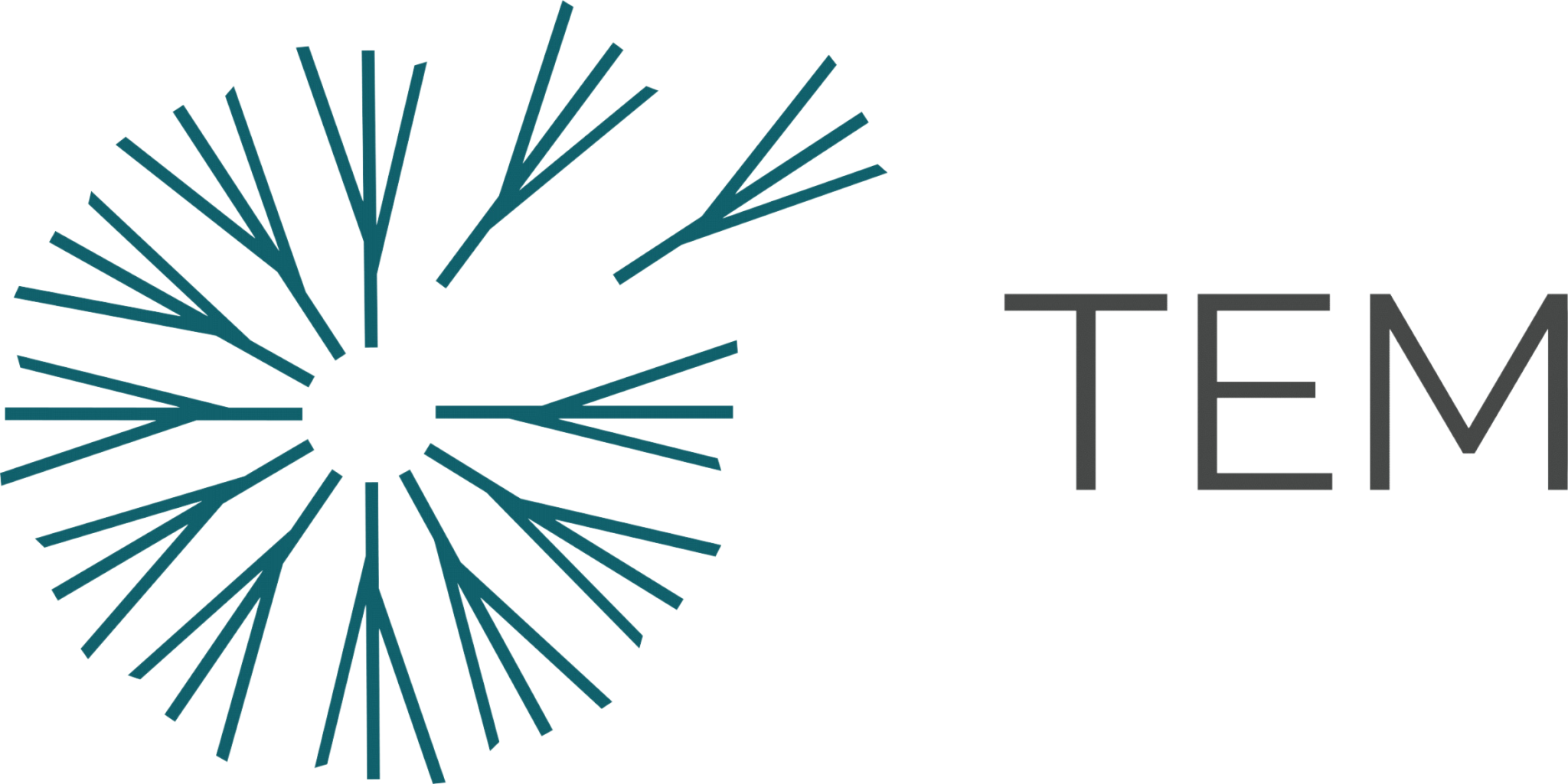 About TEM - Tasman Environmental Markets (TEM)