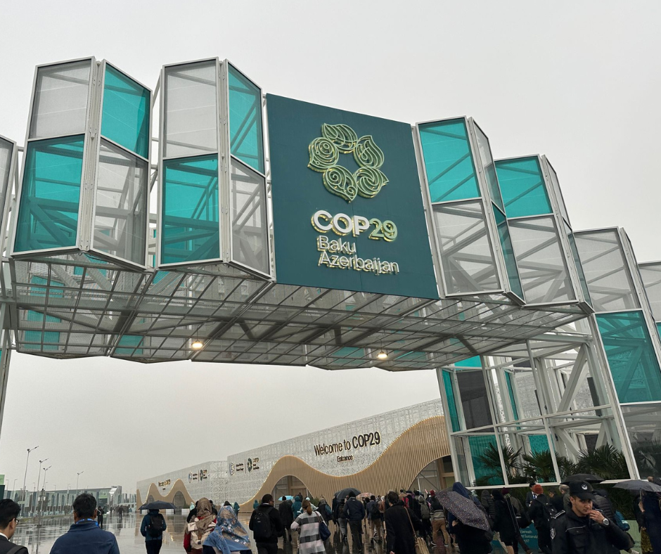 Key outcomes from COP29 impacting carbon markets and buyers across the ...